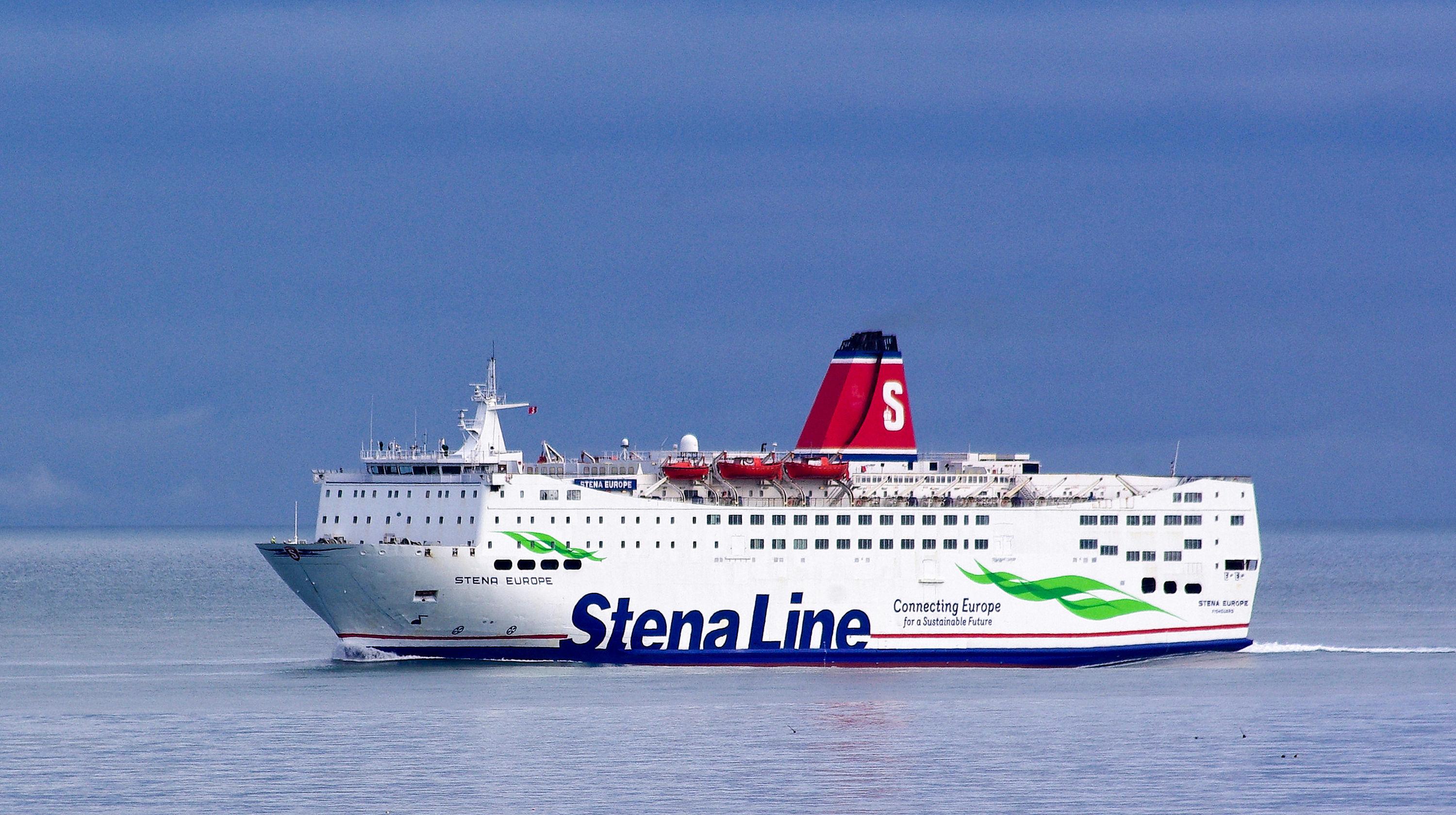 Do Stena Line Take Dogs