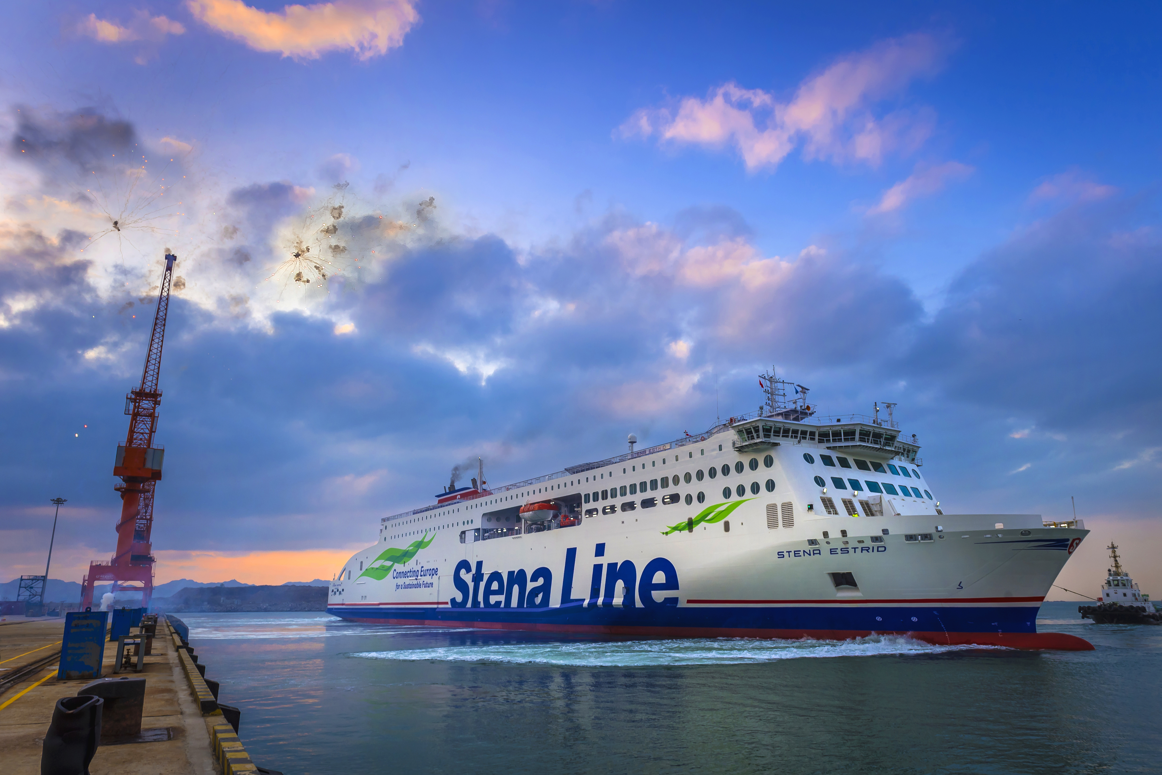 Can I Take A Dog On A Stena Line Ferry